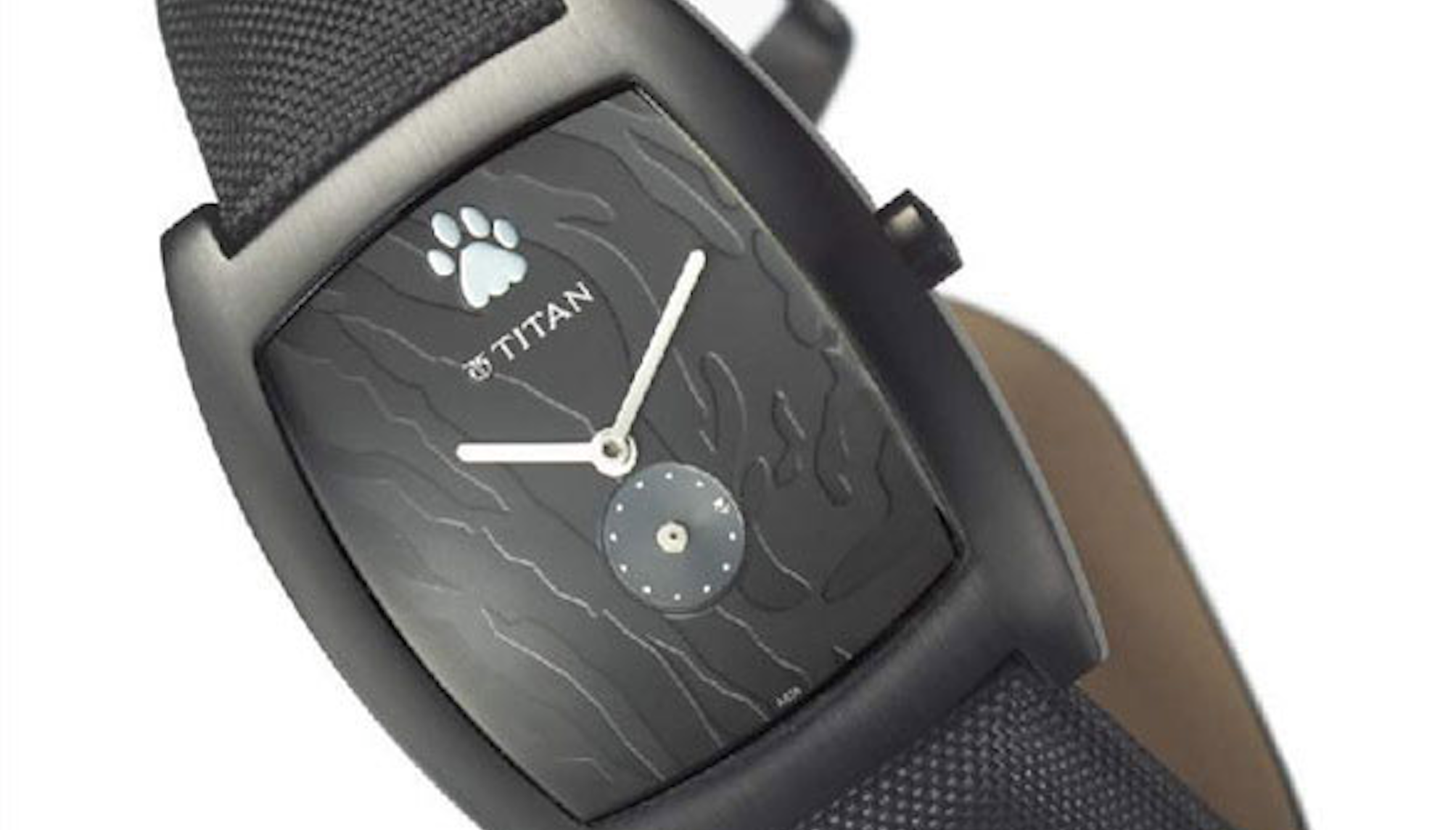 WWF targets India's wrists - Watch Passports by JSH®